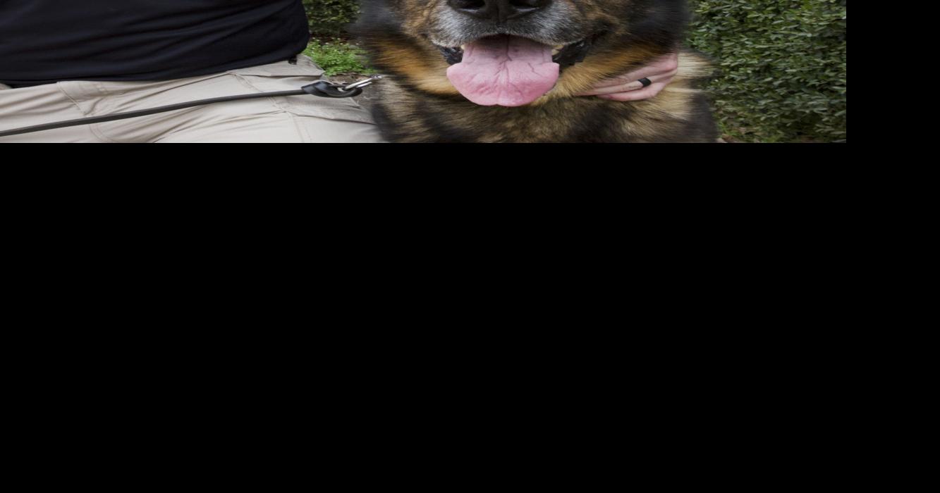 Muscle Shoals Police dog retires | Local News | timesdaily.com