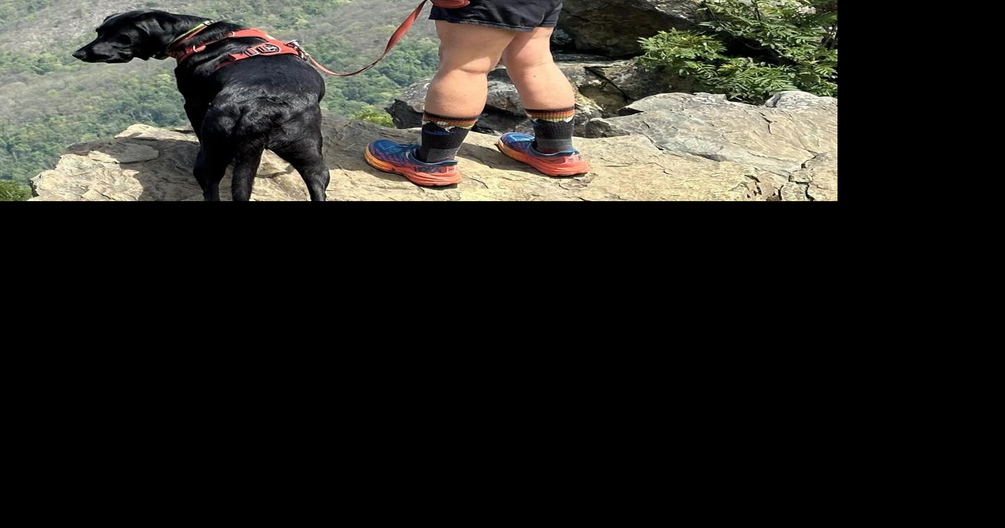 Alabama Outdoors to host author Anne Jobe | General Interest ...