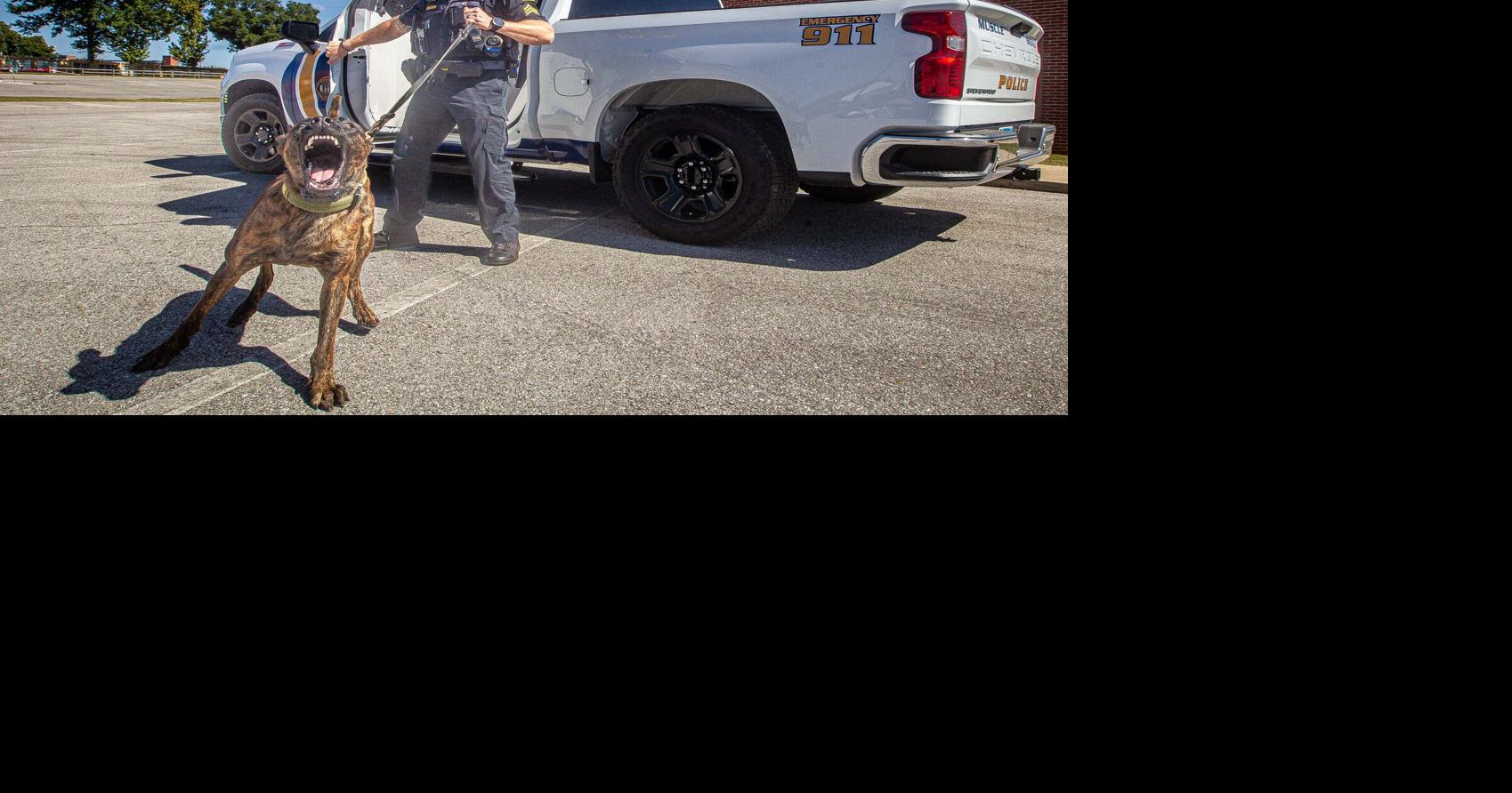 Law allows EMS to care for injured canine officers | Local News ...