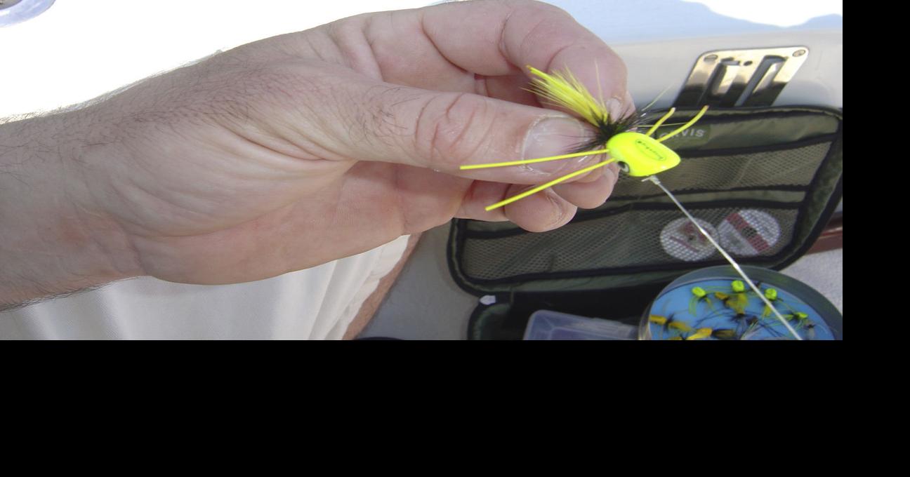 Bug time: Willow fly hatches provide constant action | | timesdaily.com