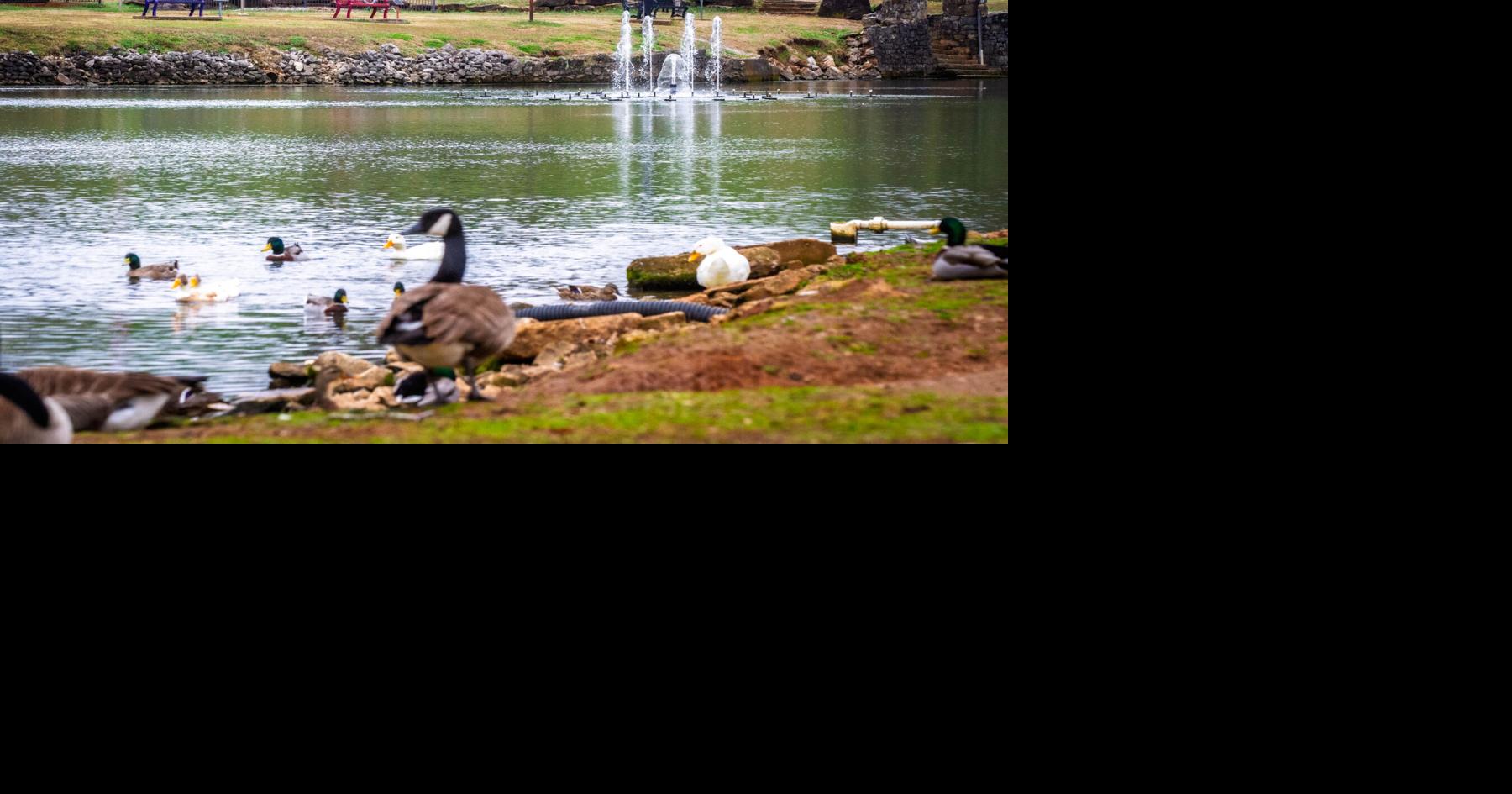 Storm damage, aging infrastructure leave Spring Park struggling | Local ...