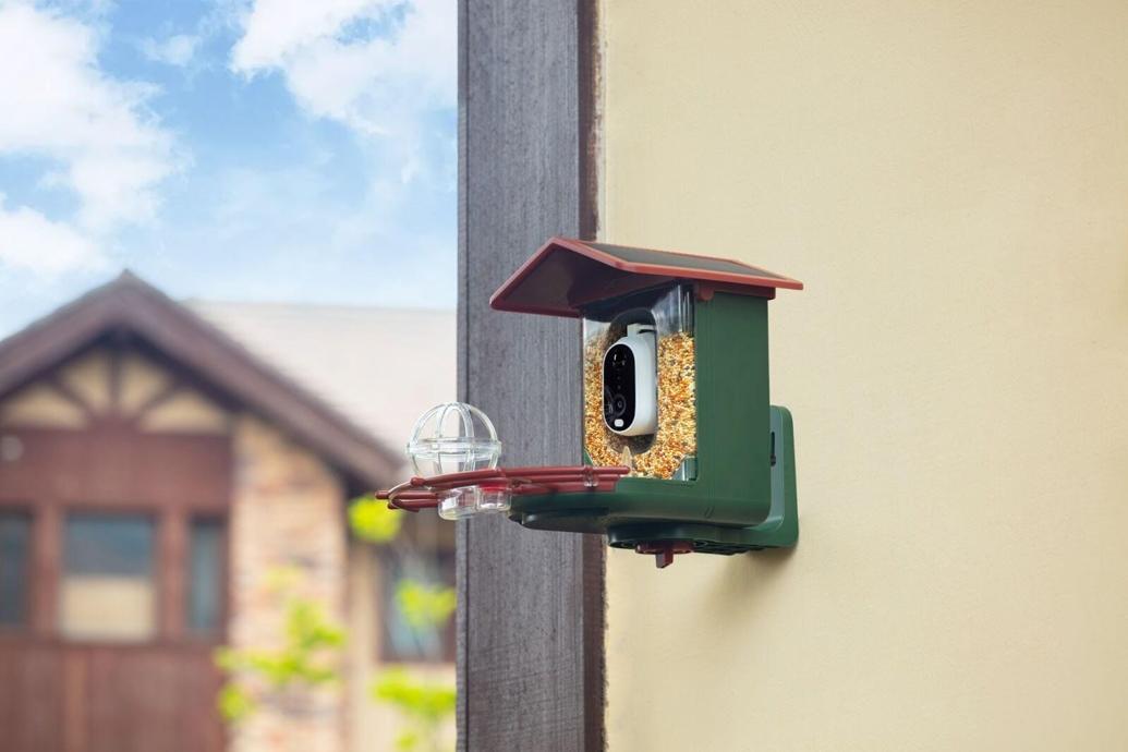 DETIKO’s Smart Bird Feeder Brings Practical AI Into the Backyard ...
