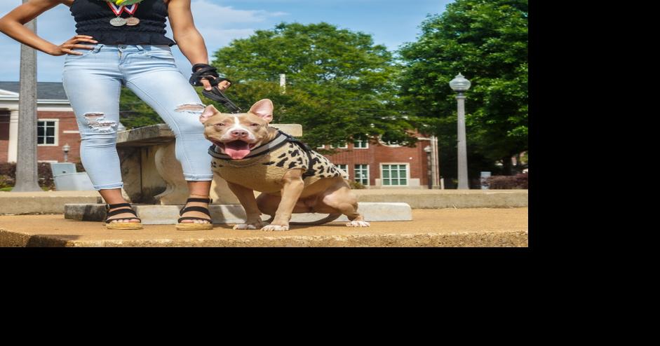 Feeling the sting: For Armstead, Hatton transition smooth on, off track ...