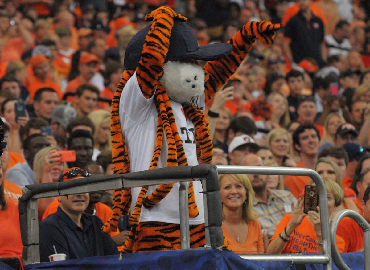 Auburn 31, Louisville 24 | Syndicated Content | timesdaily.com