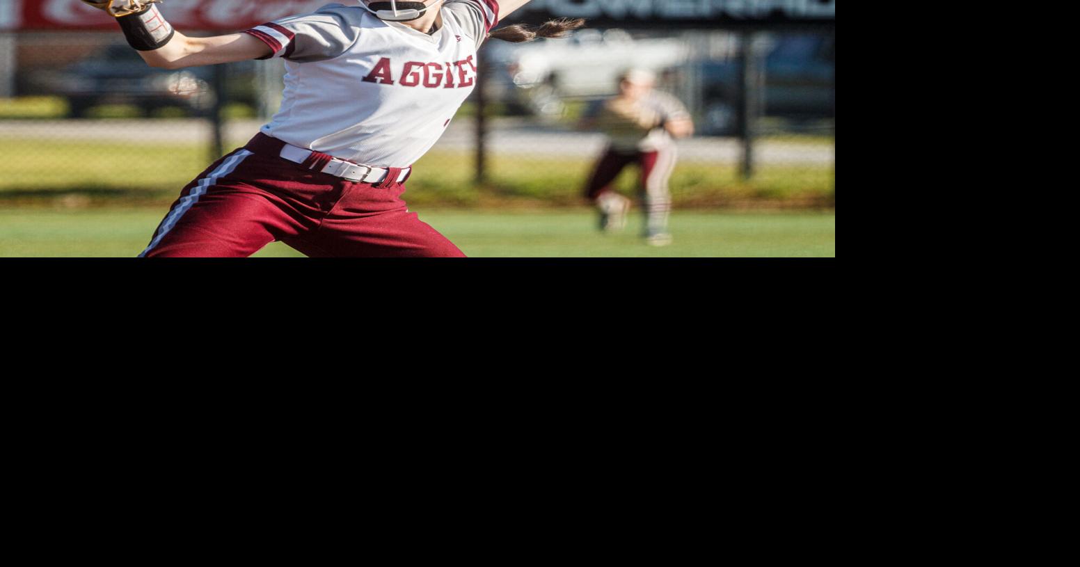 H.S. Softball: Hamilton at Deshler | Gallery | timesdaily.com