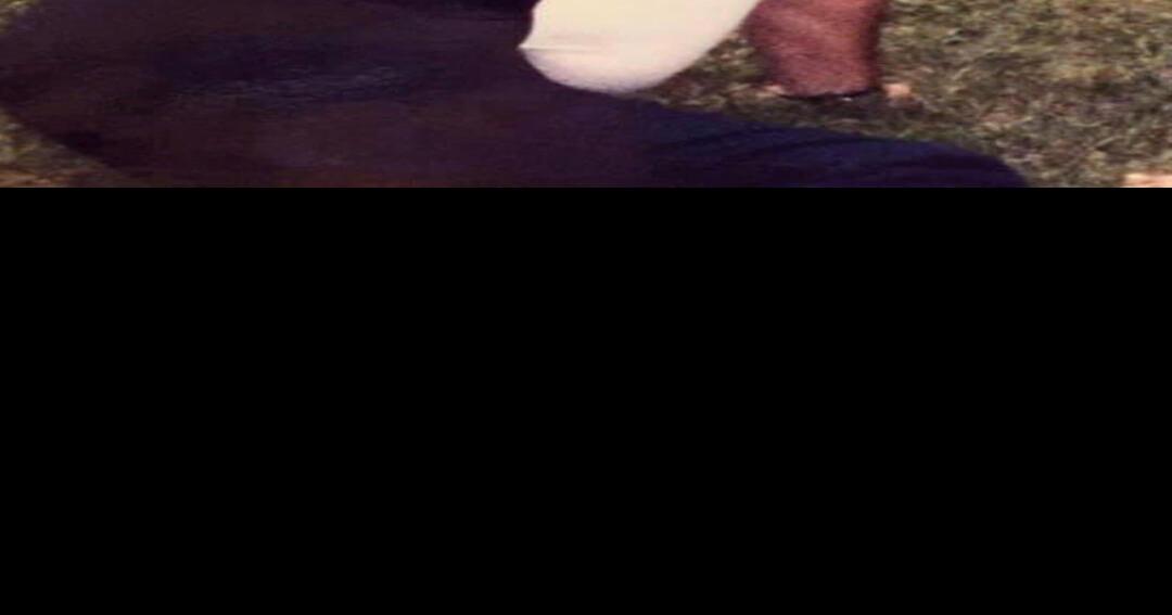 Harry Broadfoot | Obituaries | timesdaily.com