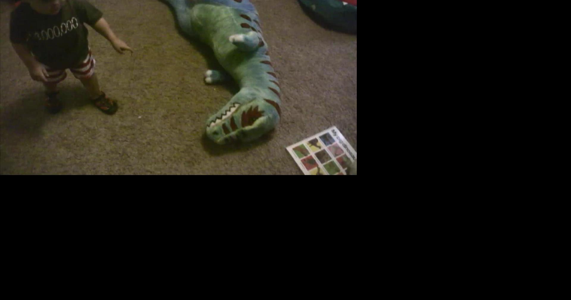 Rare Dwarfism Diagnosis | Multimedia | timesdaily.com