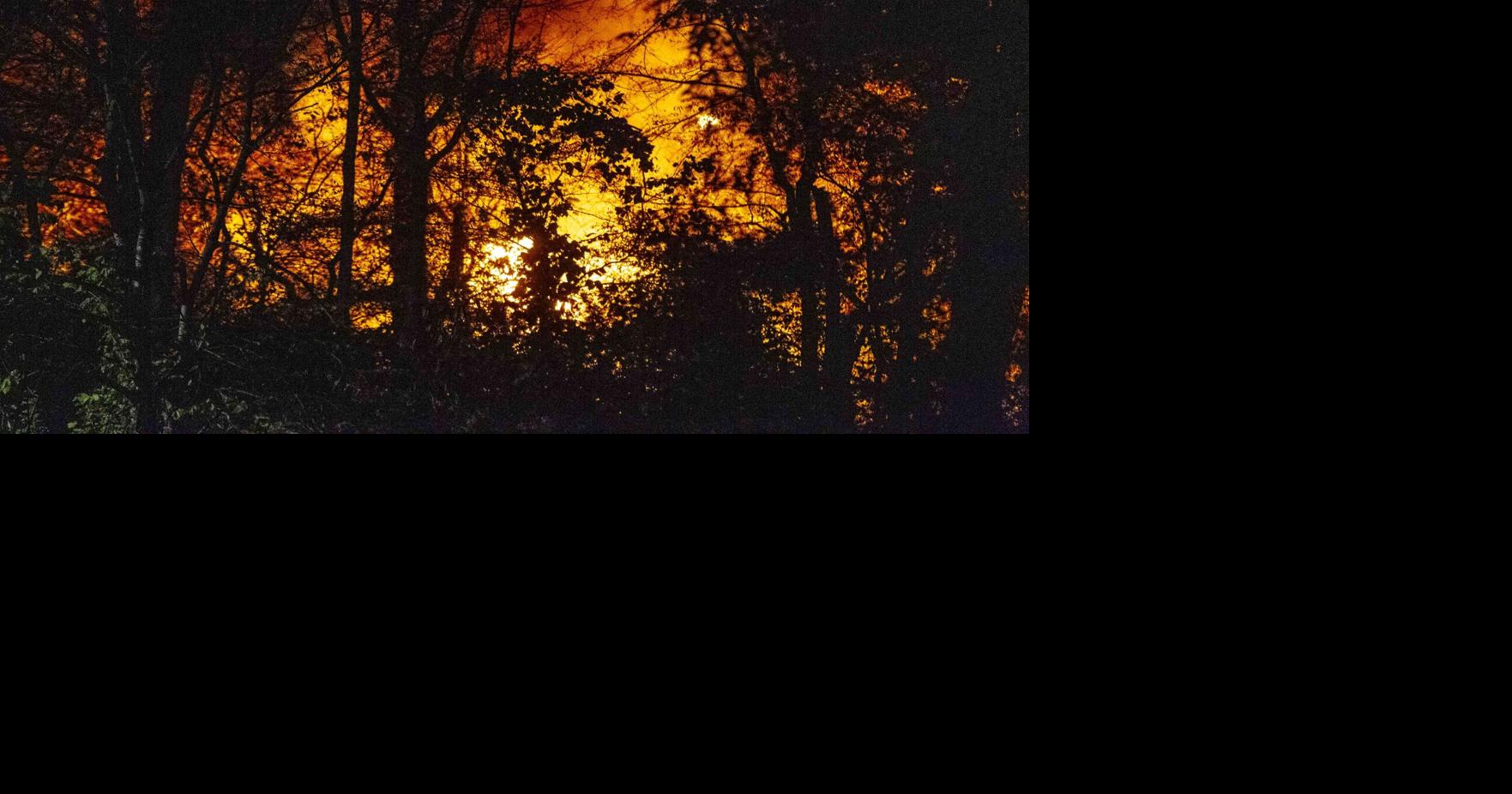 Squatter may have caused house fire | Local News | timesdaily.com