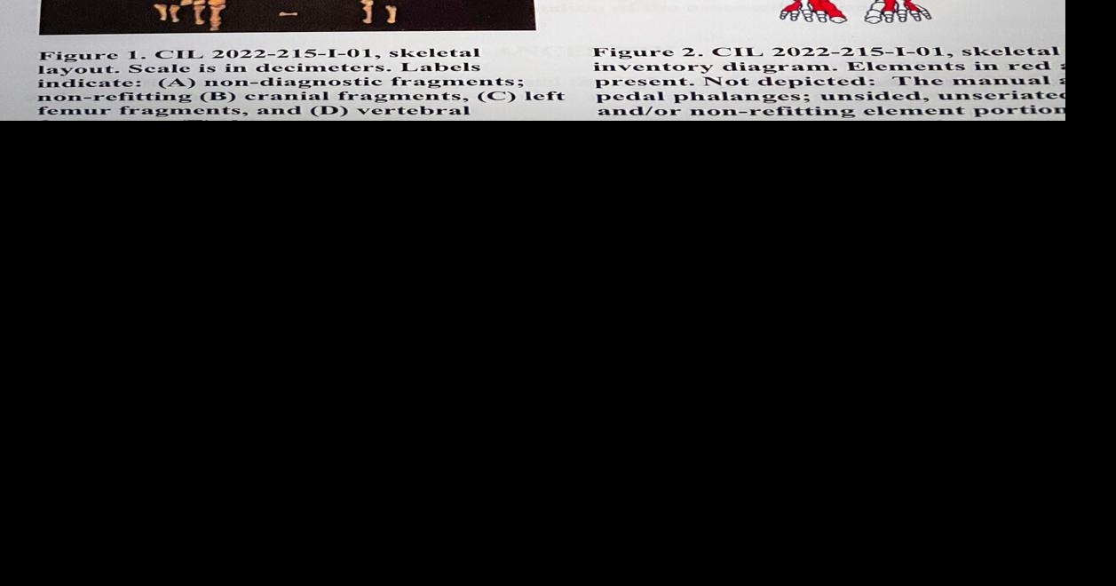 F240423 NOAH REEVES | | timesdaily.com