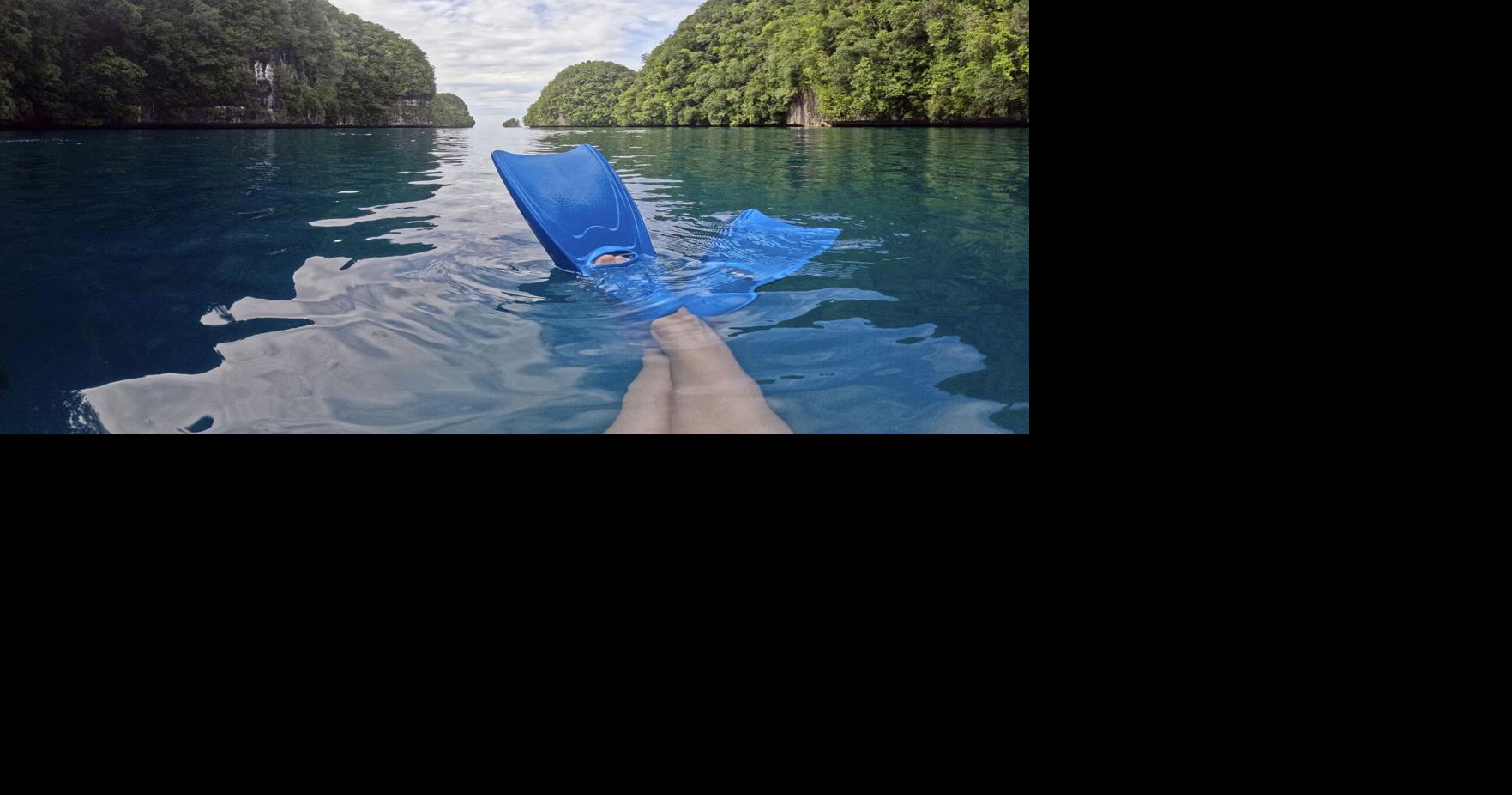 TRAVEL: The Pacific diving paradise | | timesdaily.com
