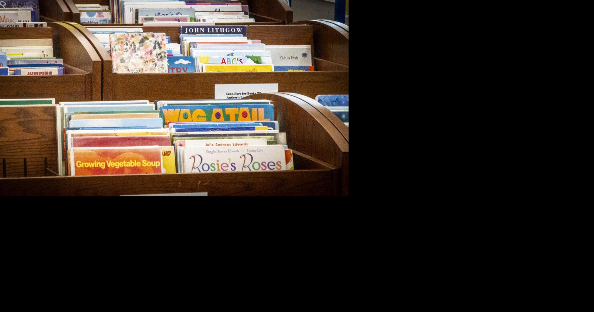 Area libraries kick-off summer reading programs | Local News ...