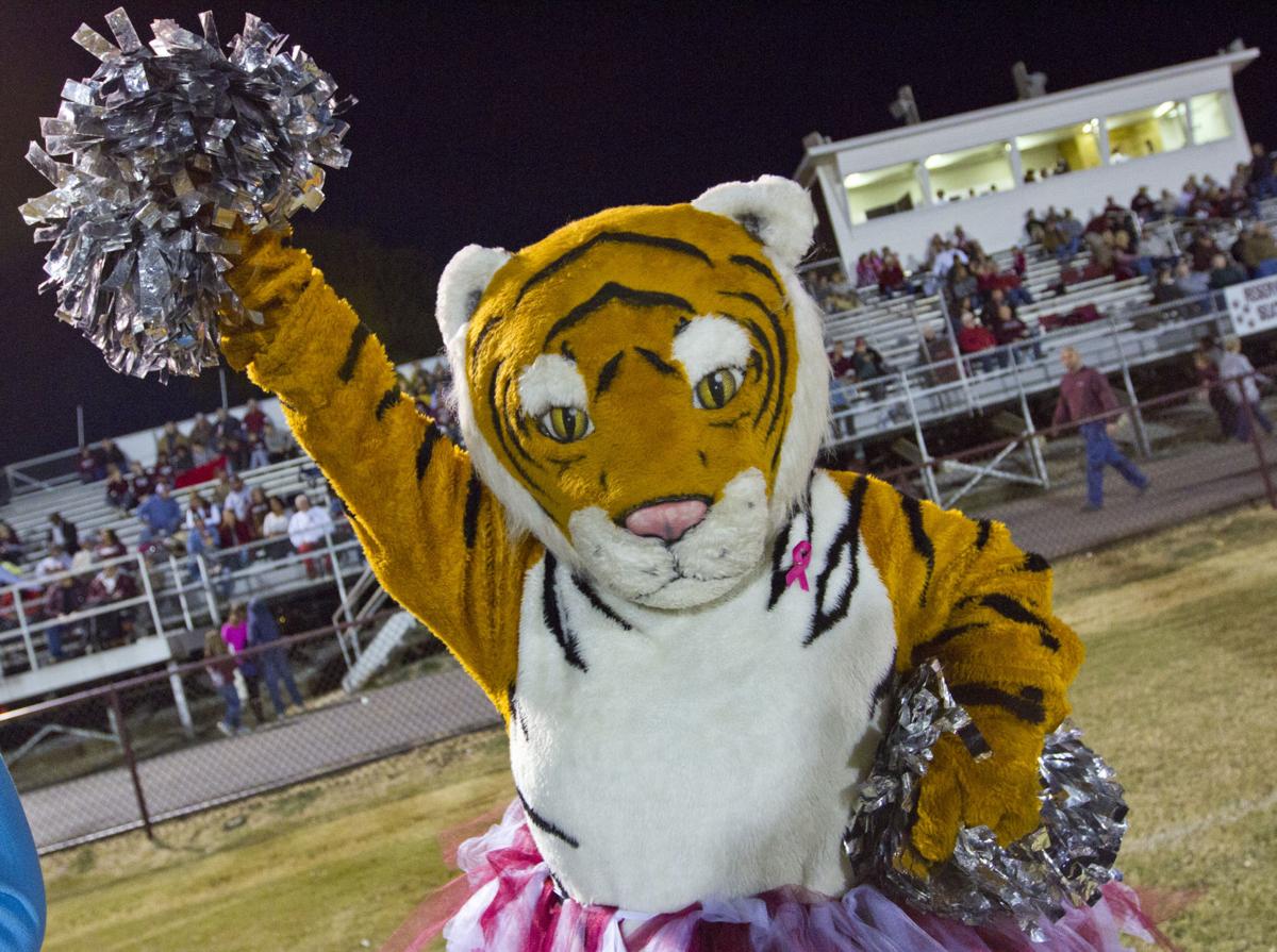CCHS at LCHS Football | Gallery | timesdaily.com
