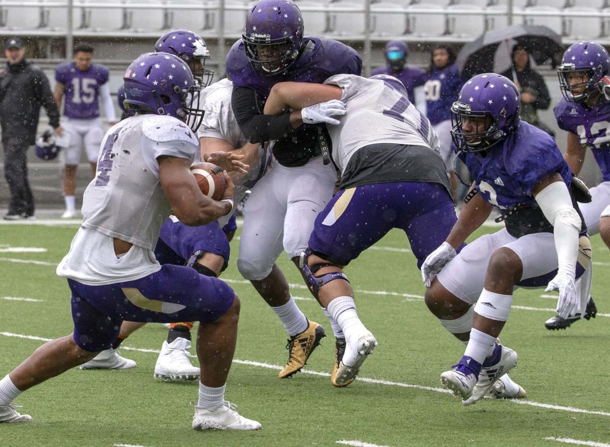 UNA Purple/White spring football game | Gallery | timesdaily.com