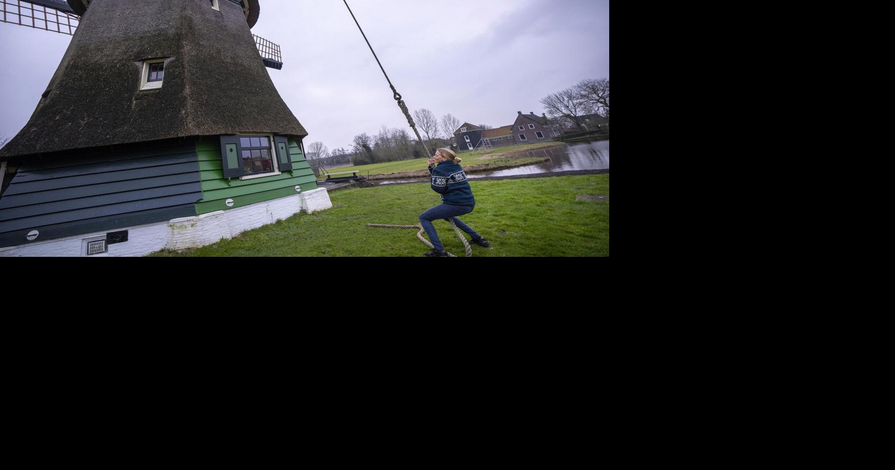 The Netherlands has a record crop of new millers to keep the windmill ...