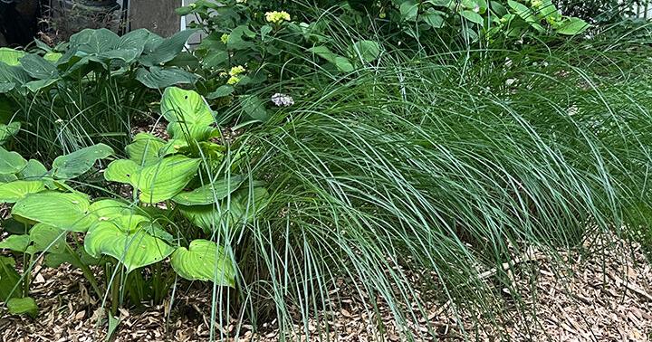 Creating a simple garden sanctuary | | timesdaily.com