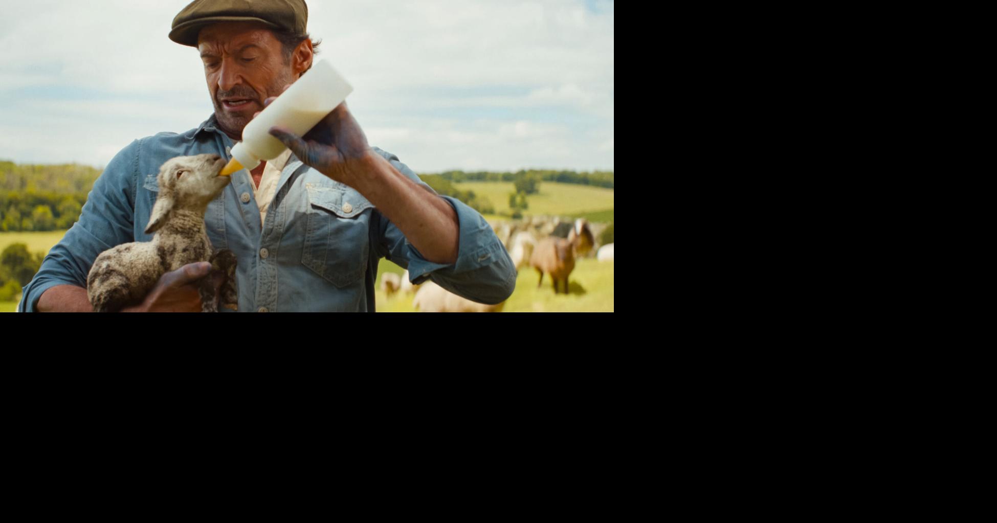 ENTER-SHEEP-DETECTIVES-MOVIE-REVIEW-FILEPIC-1-MCT | | timesdaily.com