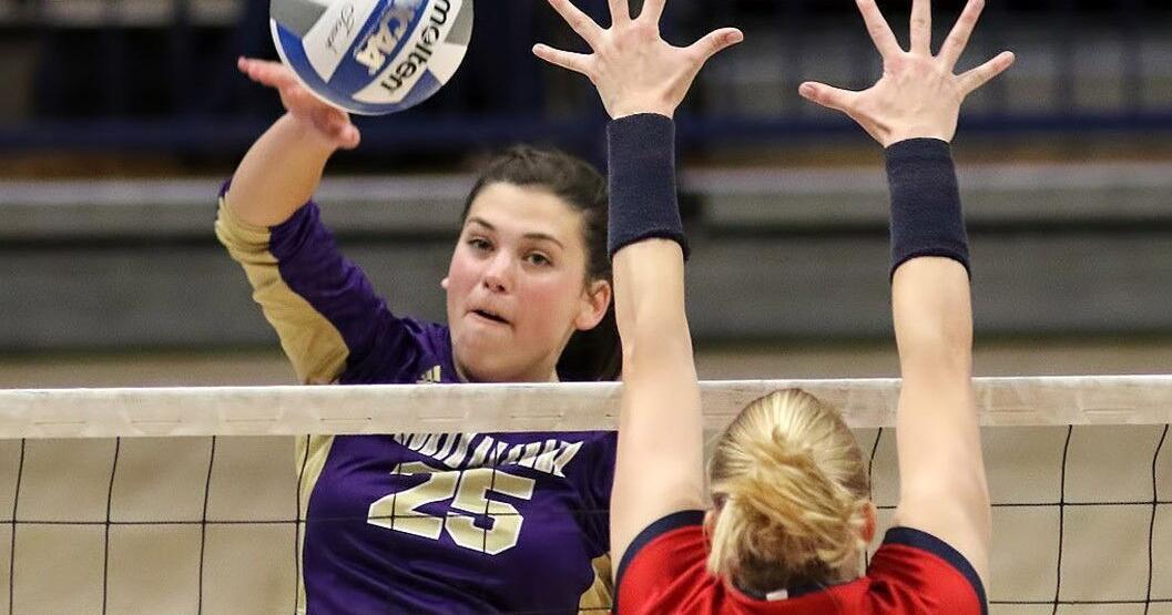 Volleyball Lions sense improvement | Top Sports Rotator | timesdaily.com