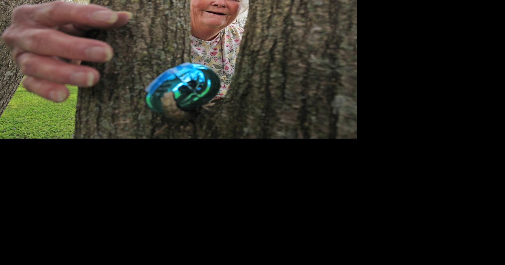 Leighton Egg Hunt | Gallery | timesdaily.com
