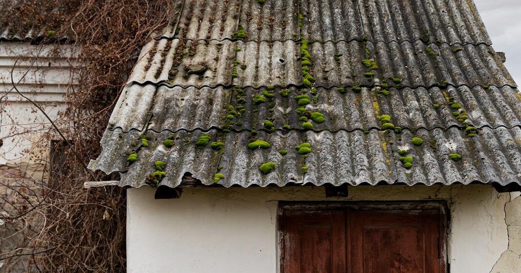 Signs Your Roof Needs Replacing | Sponsored Content | timesdaily.com