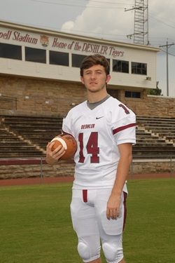 Deshler Tigers: 2014 Varsity Football Team | Sports | timesdaily.com