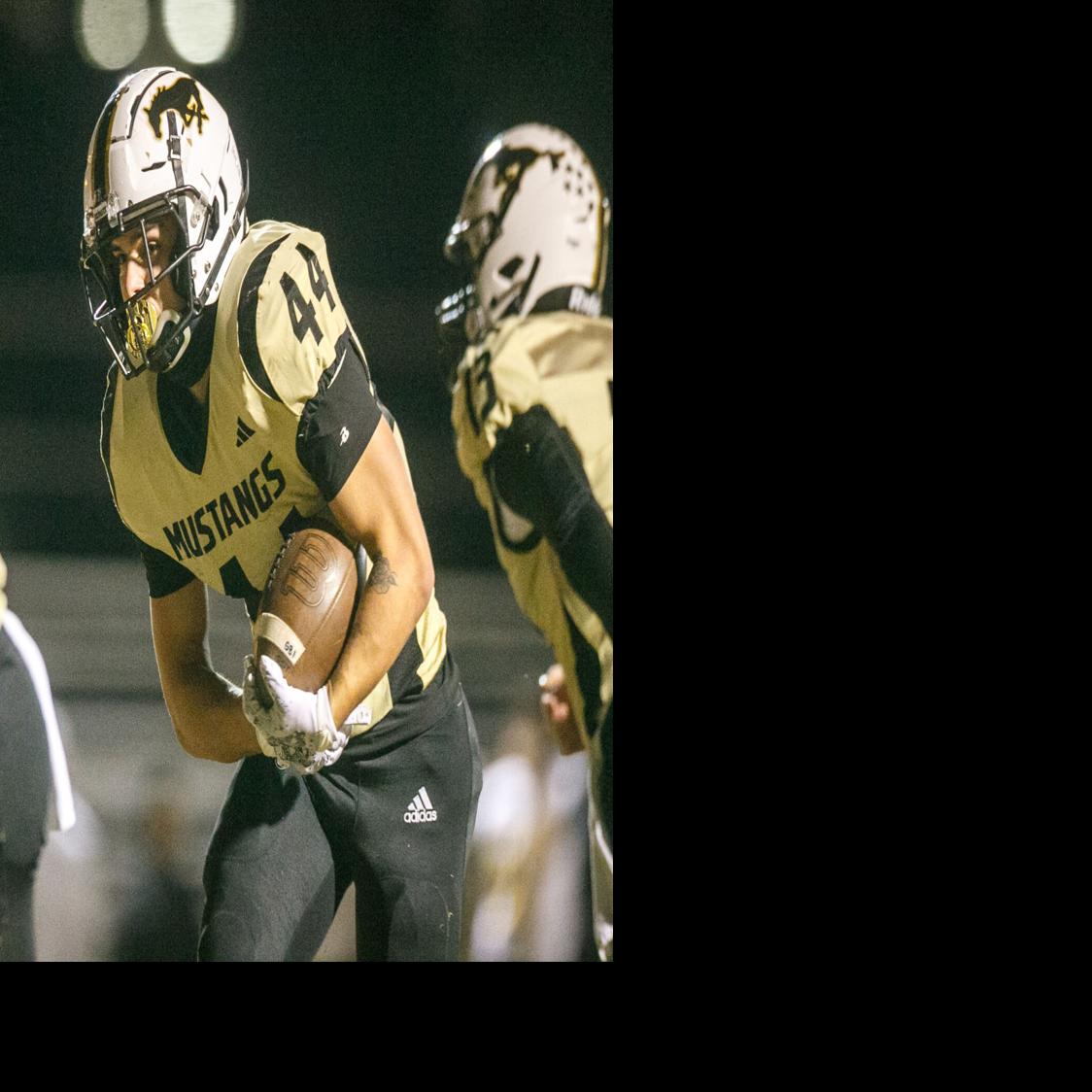 Leighton Library and Museum | Multimedia | timesdaily.com