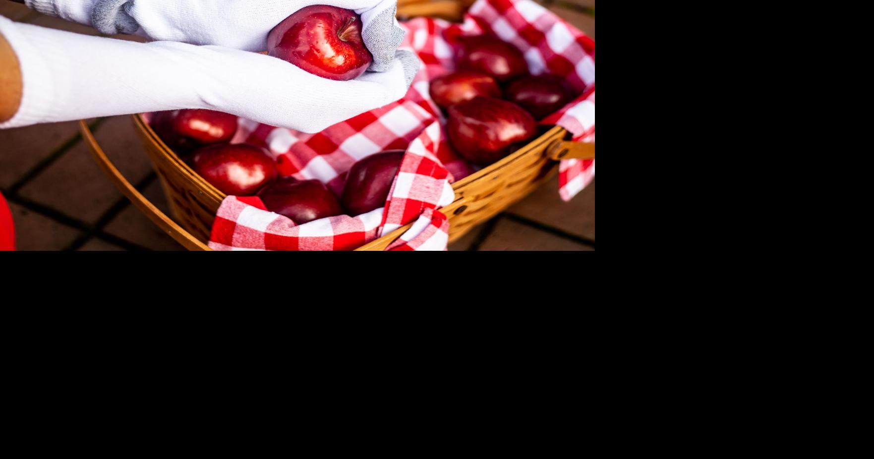 Apples are shined and ready for Apple Annie Day | General Interest ...