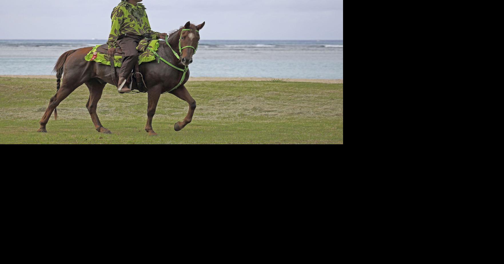 Party like a cowboy in Hawaii’s paniolo country instead | | timesdaily.com