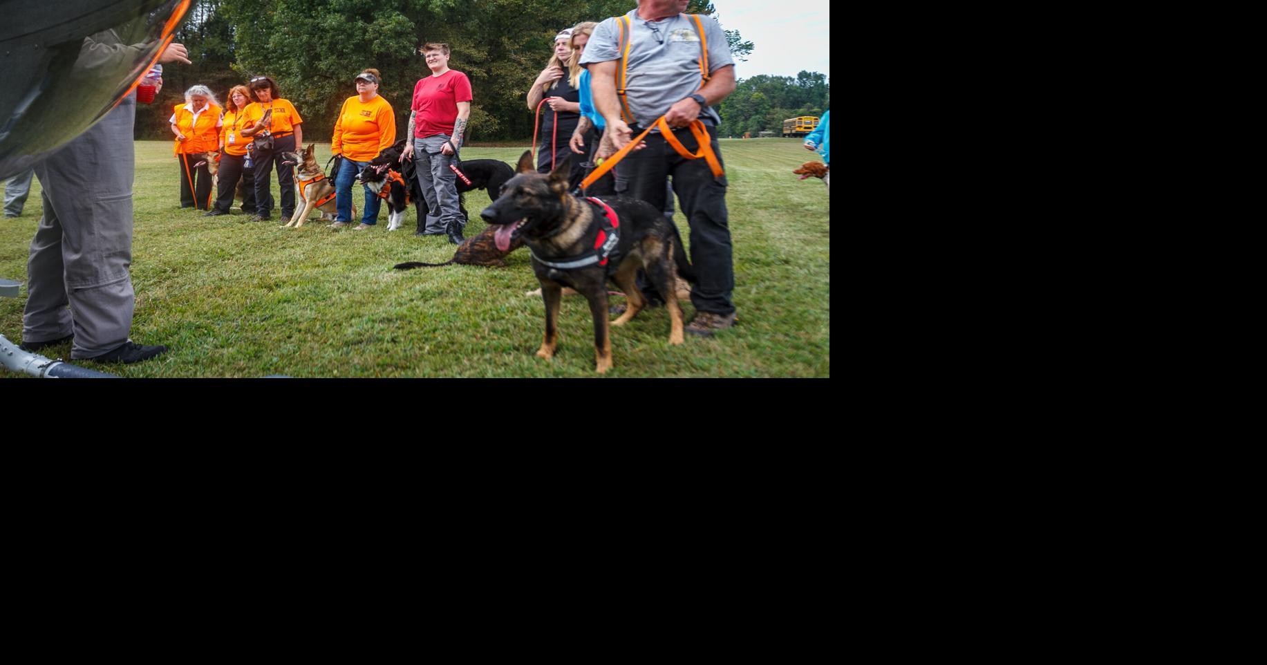 Handlers, search and rescue dogs complete training seminar | Local News ...