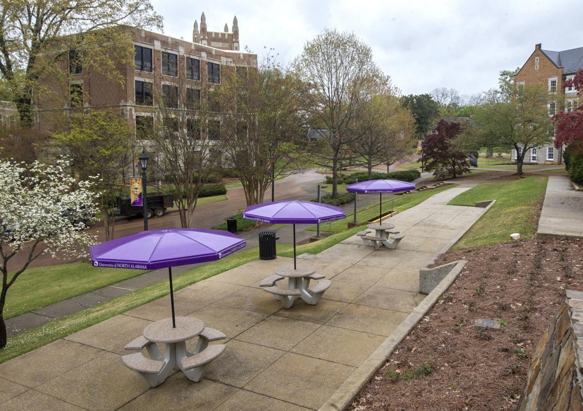Registration for UNA summer session begins April 8 | Local News ...