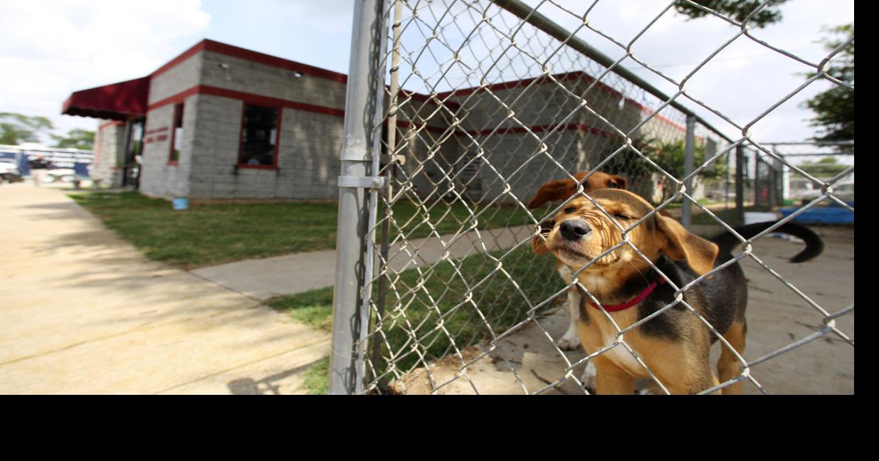 New shelter still a ways away | Local News | timesdaily.com
