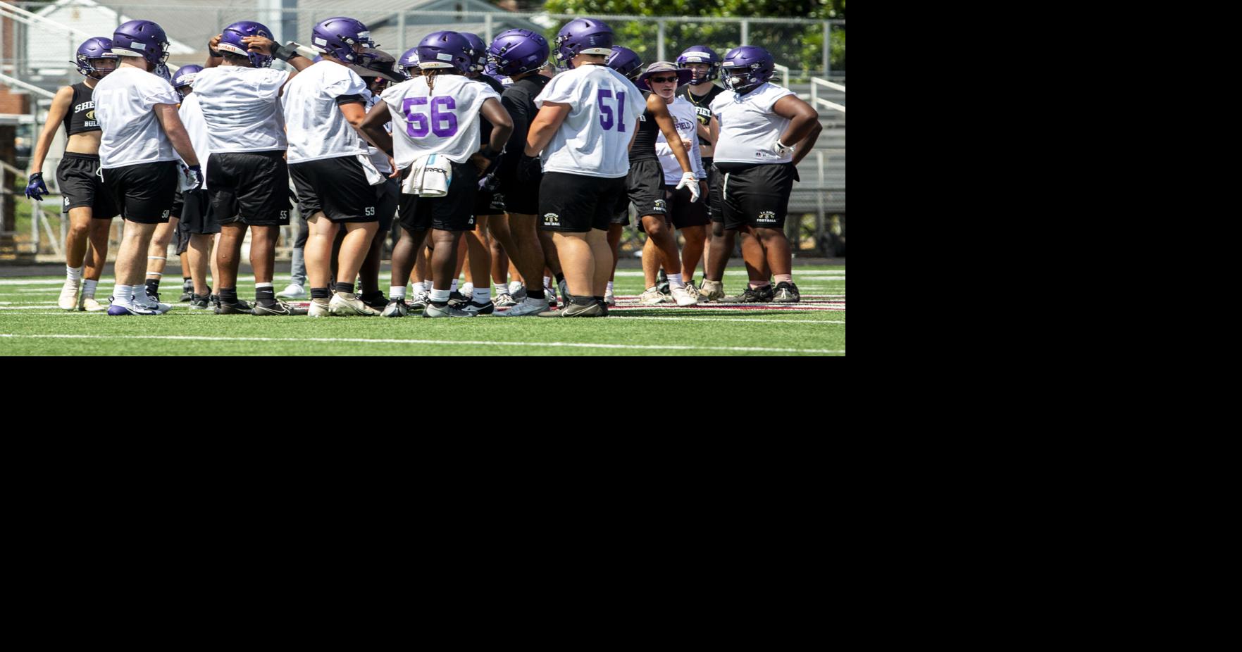 The Wright stuff: Former Sheffield Bulldogs coach back in the pound ...