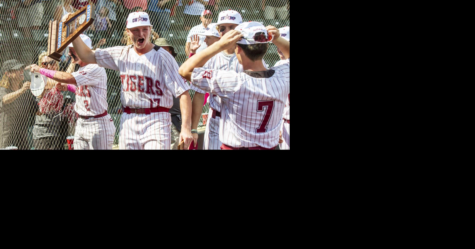 H.S. baseball: Deshler vs. Bibb County in Game 3 at state championship ...