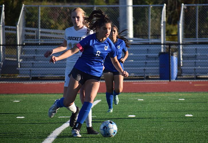 Iacino's five-goal game powers Wolves past Pioneers | High School ...