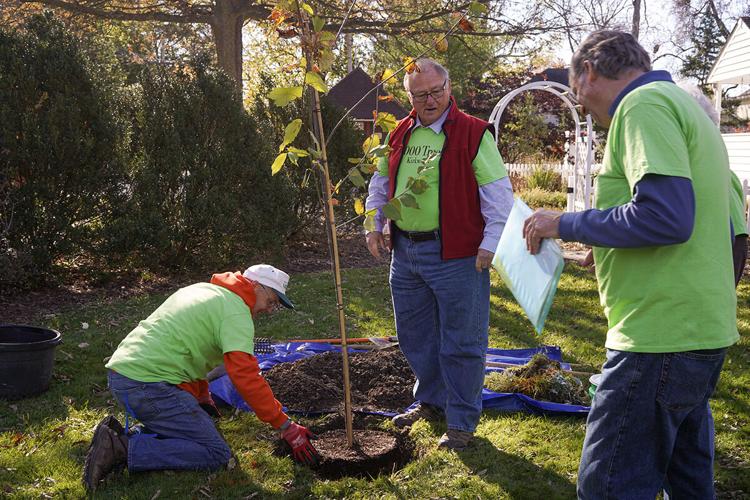 50 Trees Group Plants 1000th Tree | Webster Kirkwood Times ...