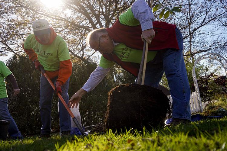 50 Trees Group Plants 1000th Tree | Webster Kirkwood Times ...