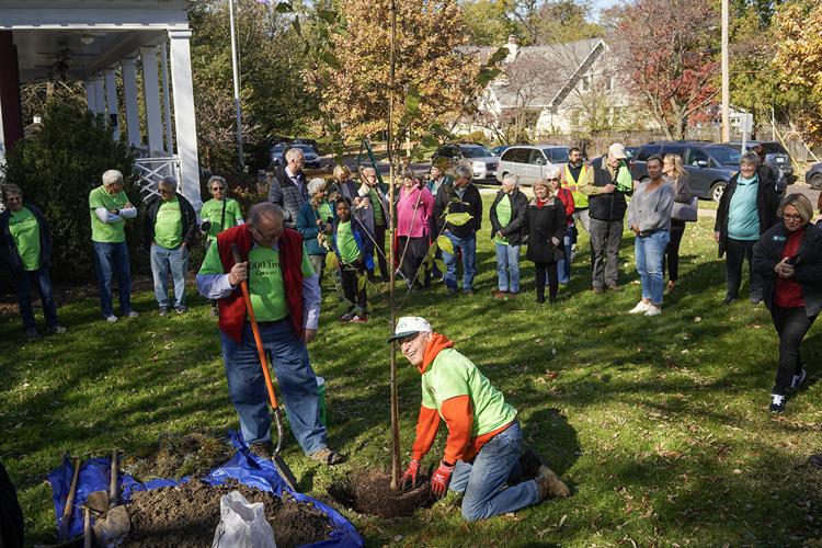 50 Trees Group Plants 1000th Tree | Webster Kirkwood Times ...