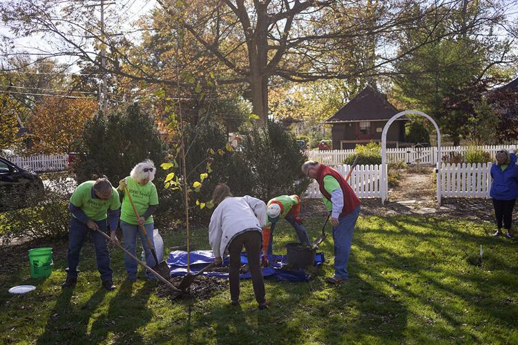 50 Trees Group Plants 1000th Tree | Webster Kirkwood Times ...