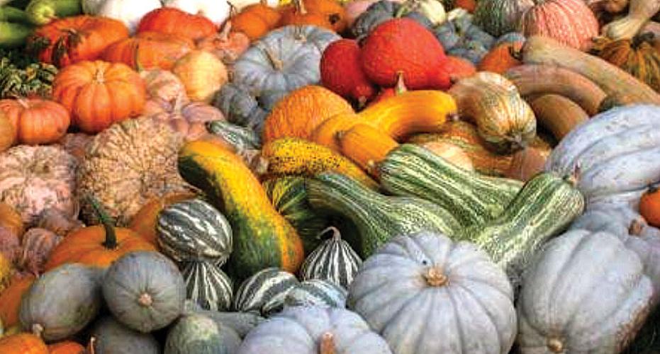 Spend A Day In Beautiful Amish Country: Arthur, IL | Webster Kirkwood ...