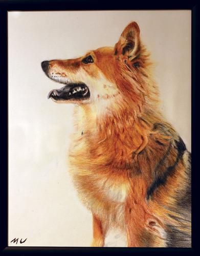 Follow Your HeART! | Webster Kirkwood Times | timesnewspapers.com