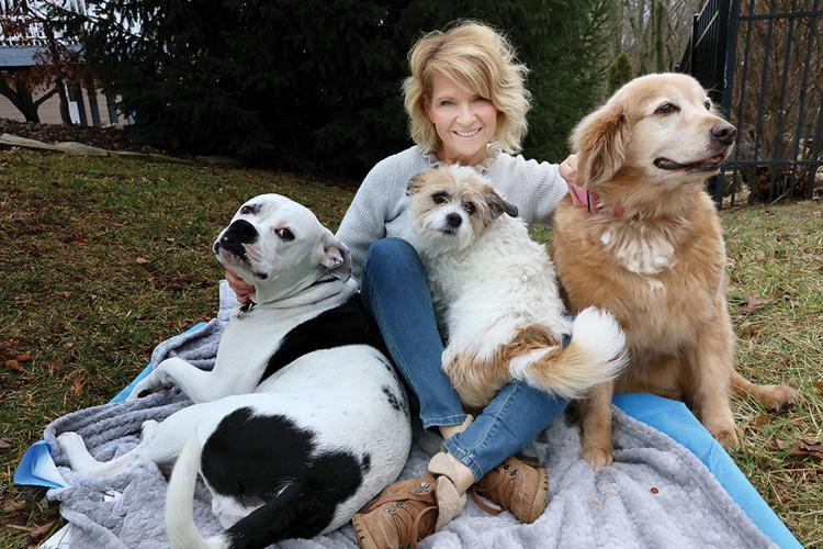 The Wet Nose Project | South County Times | timesnewspapers.com