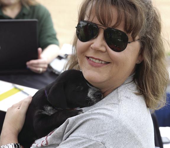 Firehouse Hounds Adoption Event | Webster Kirkwood Times ...