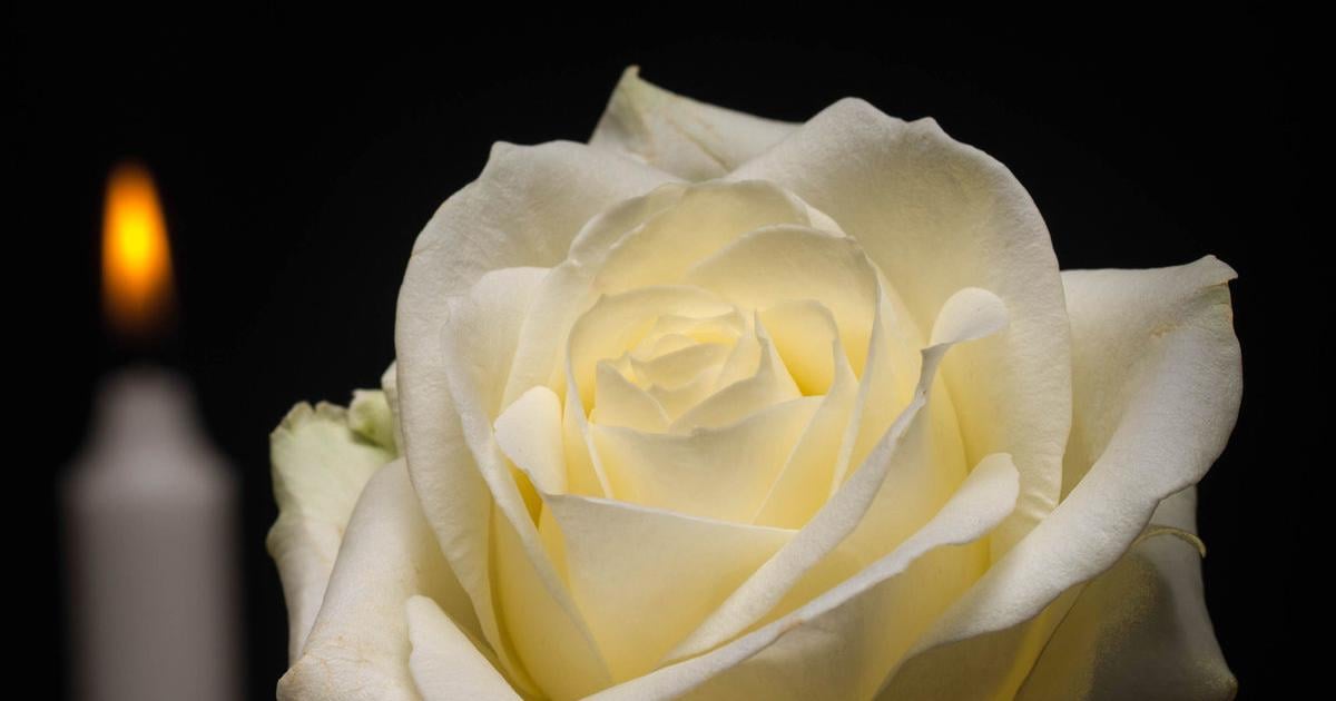 Steven “Steve” Louis Swafford | Webster Kirkwood Times ...