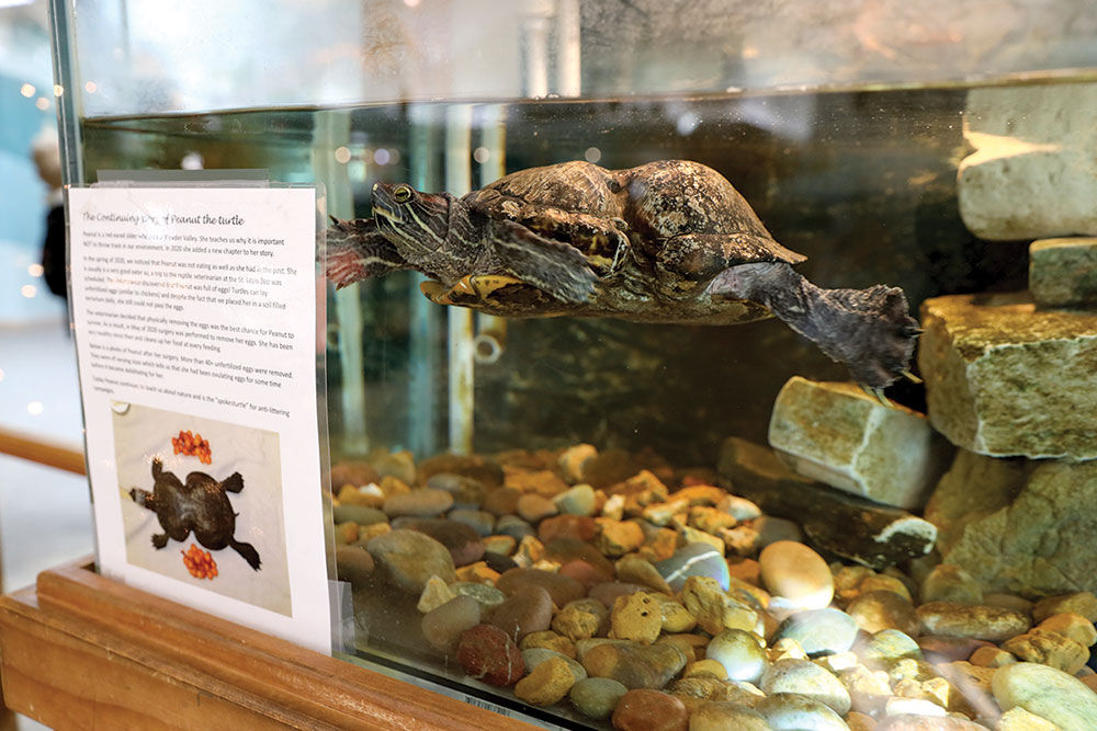 Powder Valley Conservation Nature Center: | Webster Kirkwood Times ...