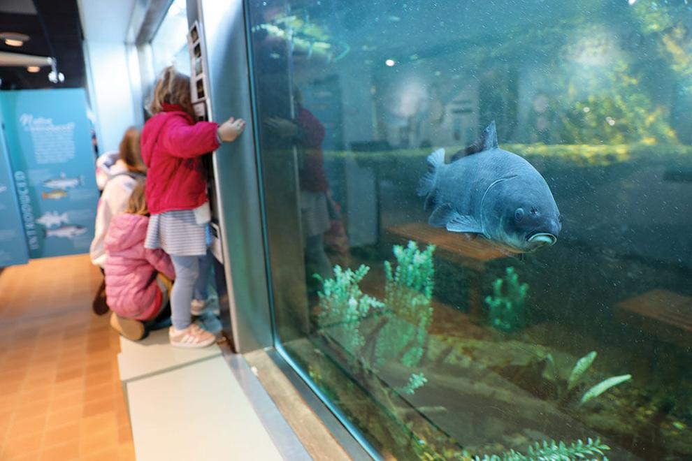 Powder Valley Conservation Nature Center: | Webster Kirkwood Times ...