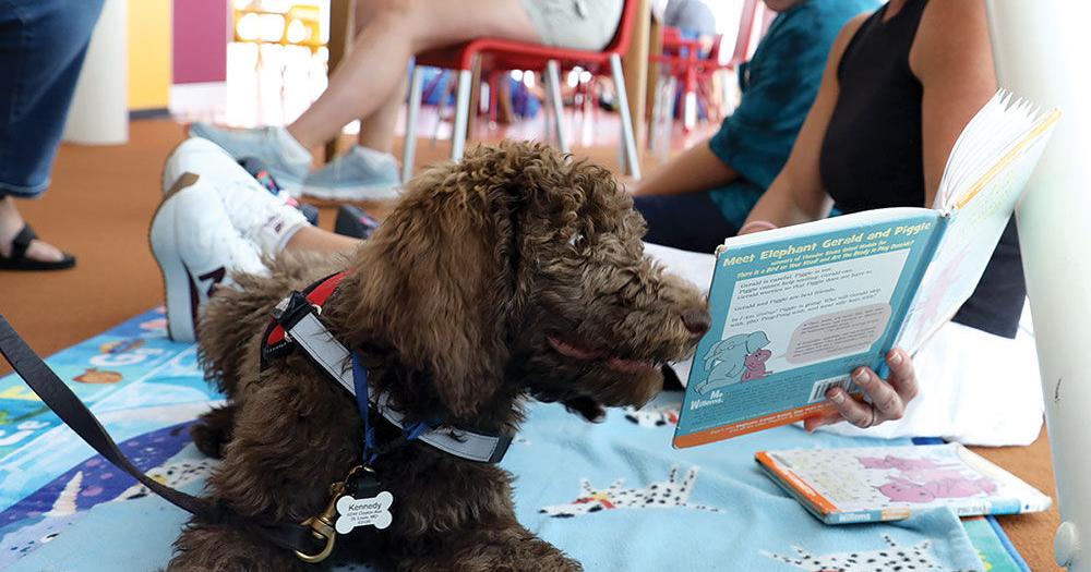 Dogs For Our Brave | Webster Kirkwood Times | timesnewspapers.com