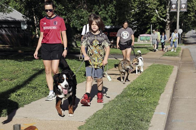 Webster Groves Community Dog Walk 2024 | Webster Kirkwood Times ...