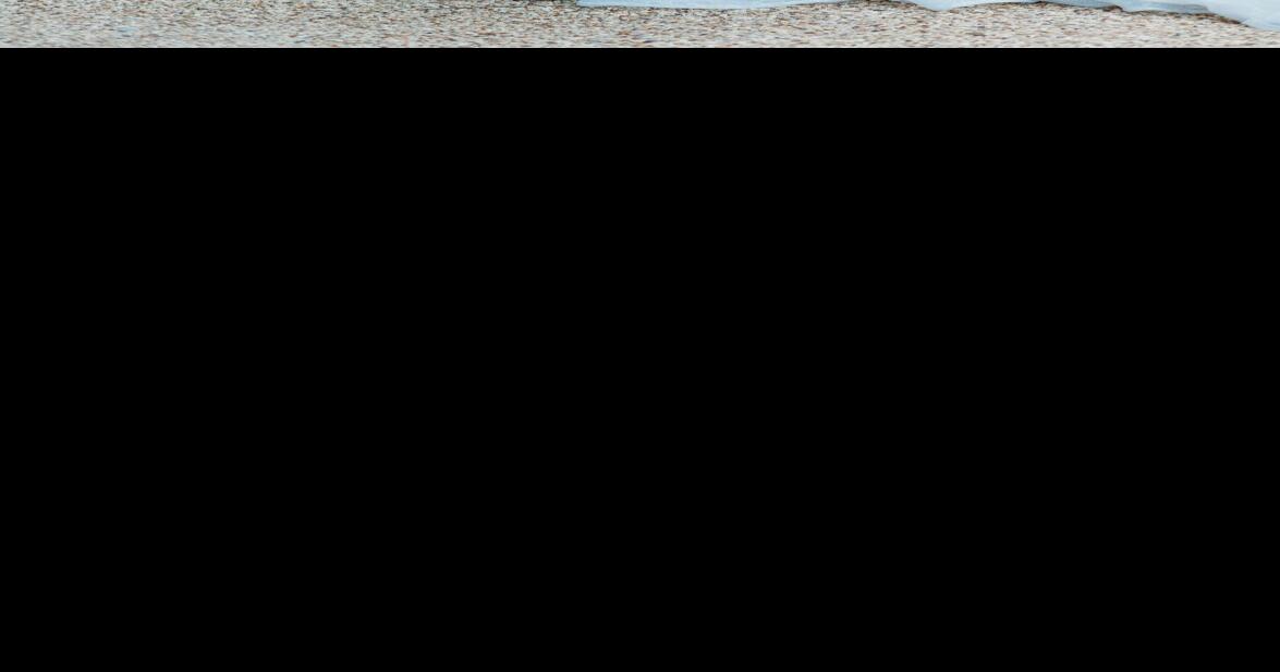 Catherine Marie Connolly and Joshua Timothy Weldon | Spotlight Weddings ...