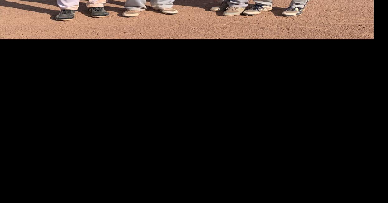 Humberside Collegiate baseball team wraps up school year with Ontario title | News | toronto.com