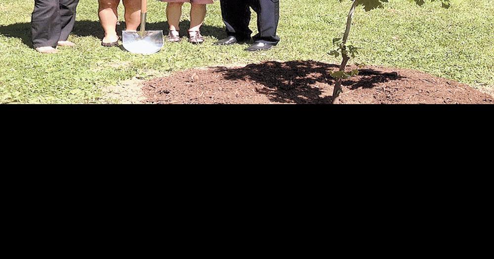 Maple Leaf Forever tree lives on at Todmorden Mills | News | toronto.com
