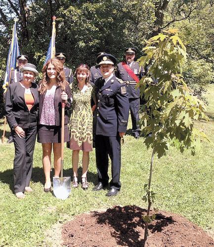 Maple Leaf Forever tree lives on at Todmorden Mills